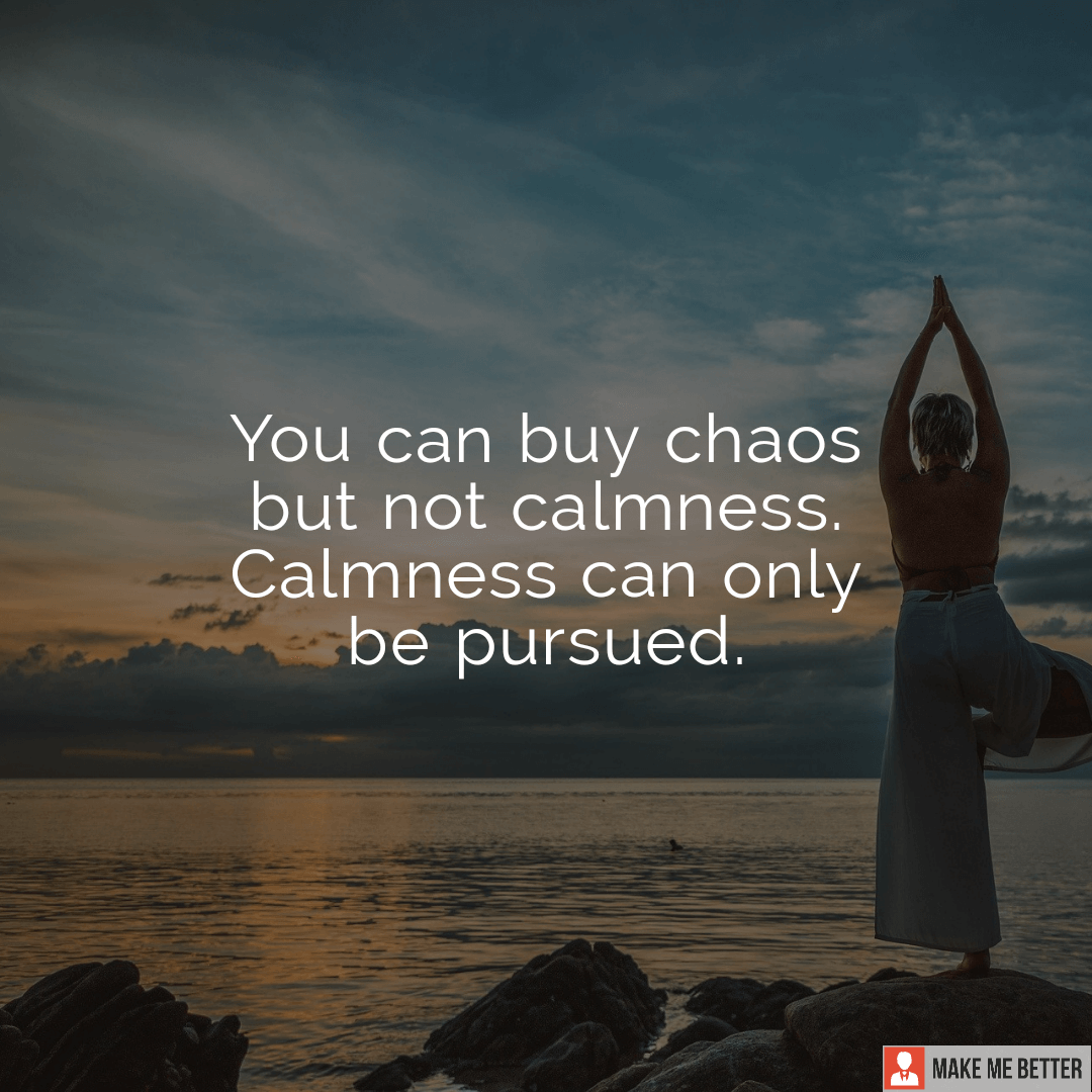 You can buy chaos but not calmness. Calmness can only be pursued ...