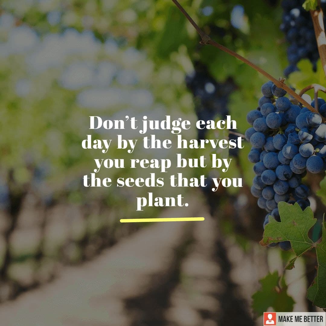 Don’t judge each day by the harvest you reap but by the seeds that you ...