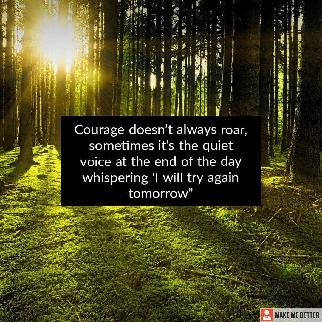 Courage doesn't always roar, sometimes it's the quiet voice at the end ...